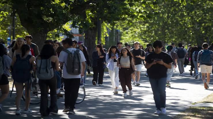 Canada Sees International Student Arrivals Plummet Nearly 97%